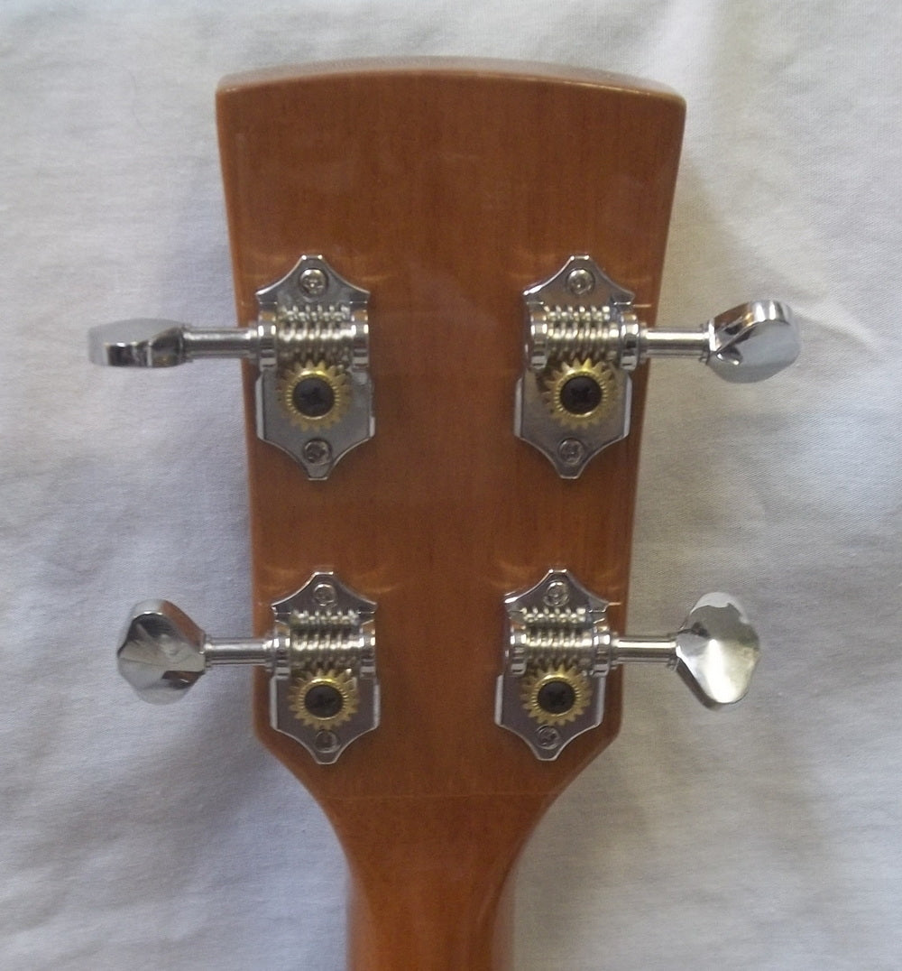 Ibanez PFt-2 Tenor guitar – Rainbow Music Shop